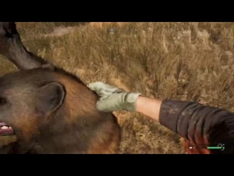 Far Cry® 5 & The Cuddly Wolverine - YouTube