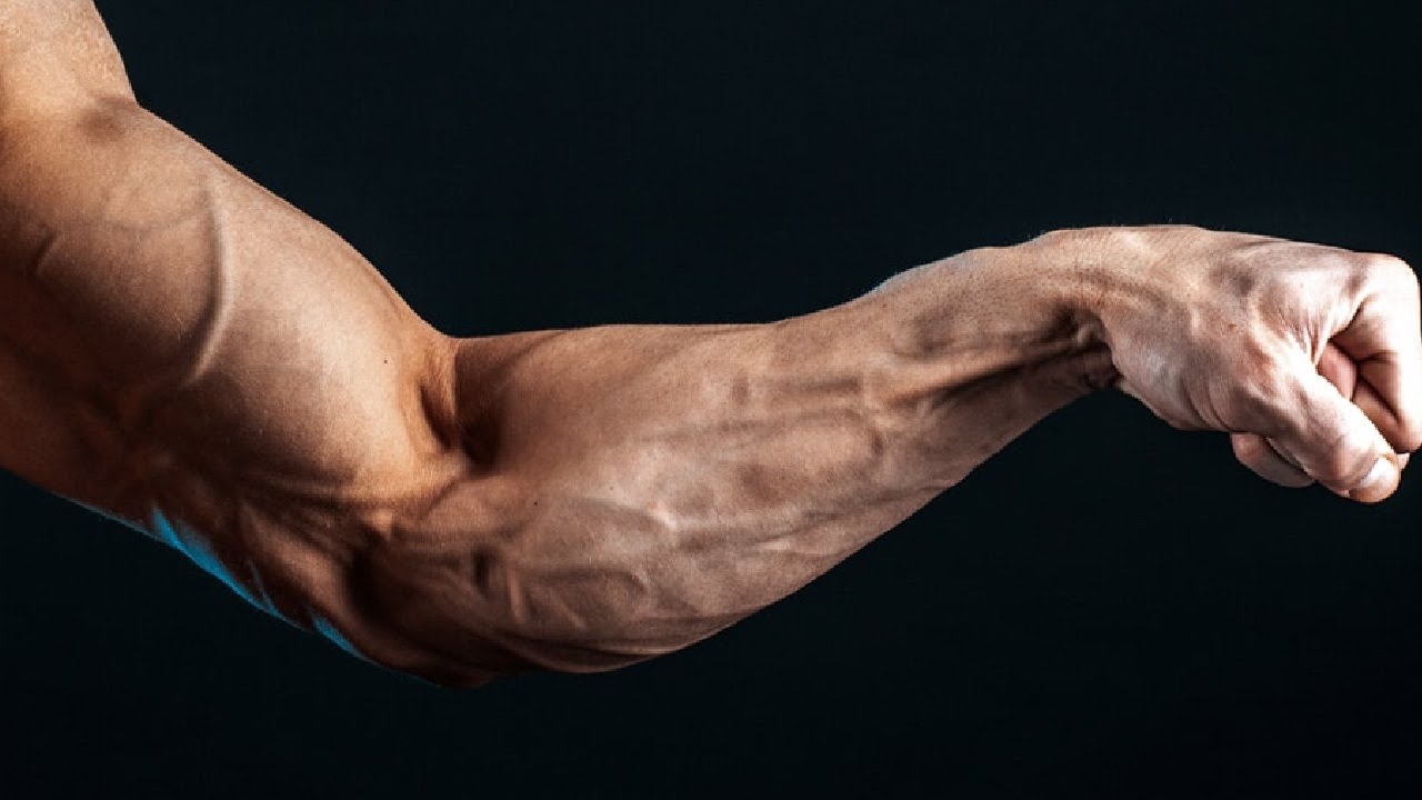 how to get bigger forearms fast - 3 minute intense workout - YouTube