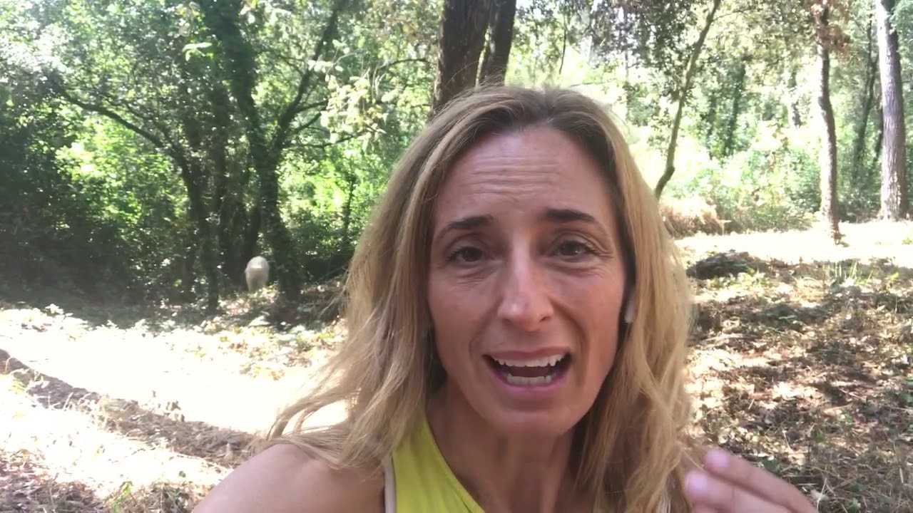 Lección 164. Un Curso de Milagros UCDM.A Course in Miracles ACIM.Marta ...