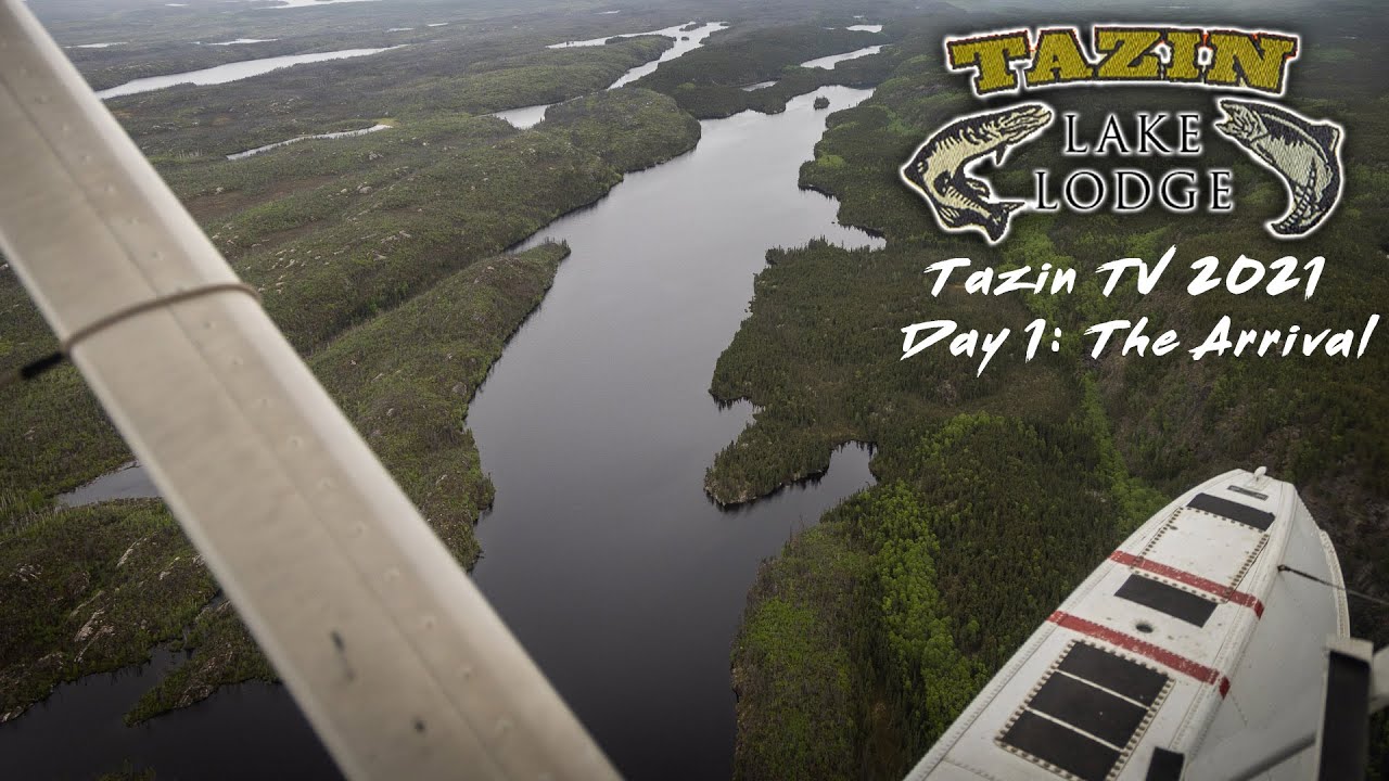 Tazin TV 2021 | Episode 1: The Arrival - YouTube