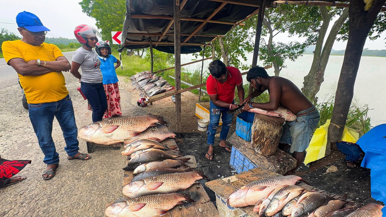 Never Seen! Most Dirty Fish Handling in Sri Lanka Village Fish Market - YouTube