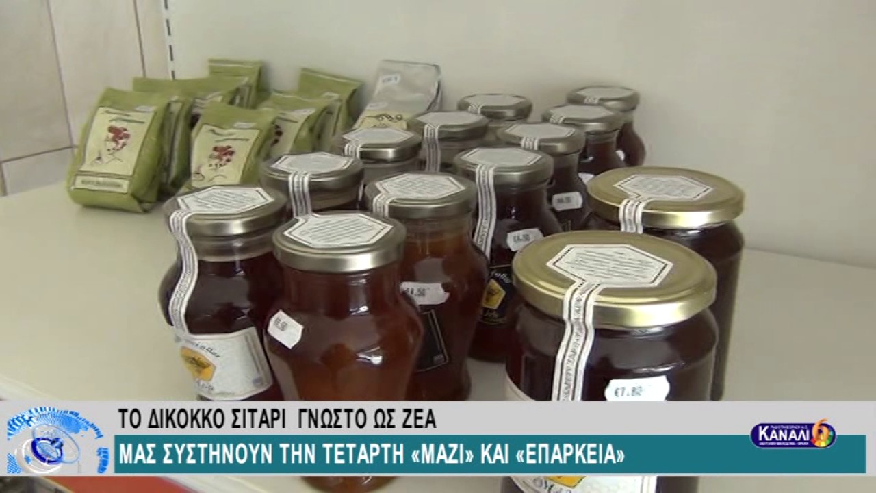 ΤΟ ΔΙΚΚΟΚΟ ΣΙΤΑΡΙ ΓΝΩΣΤΟ ΩΣ ΖΕΑ ΜΑΣ ΣΥΣΤΗΝΟΥΝ ΤΗΝ ΤΕΤΑΡΤΗ ¨ΜΑΖΙ" ΚΑΙ ...