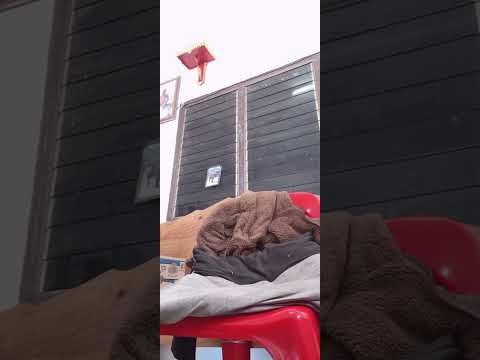 Bigo Live Periscope #periscope #live #girlthailand #Cutegirl #สาวน่ารัก 💕