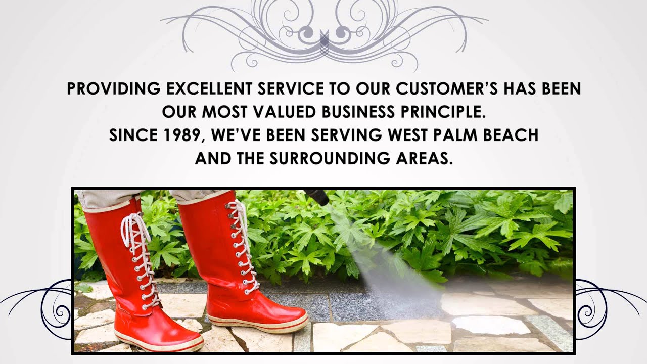 Reliable Pest Control Services in Stuart, FL - YouTube