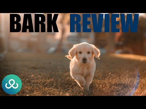 Bark Review: Putting the Bite into Local Services Businesses ...