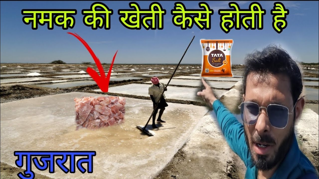 Namak Ke Khet || Salt Making in Gujarat with sea water || नमक कैसे ...