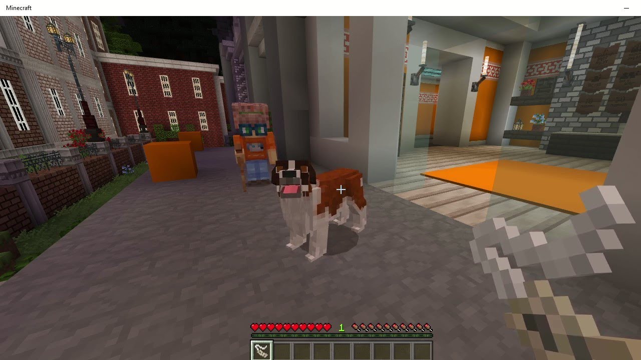 Minecraft doggie daycare (Part 1) - YouTube