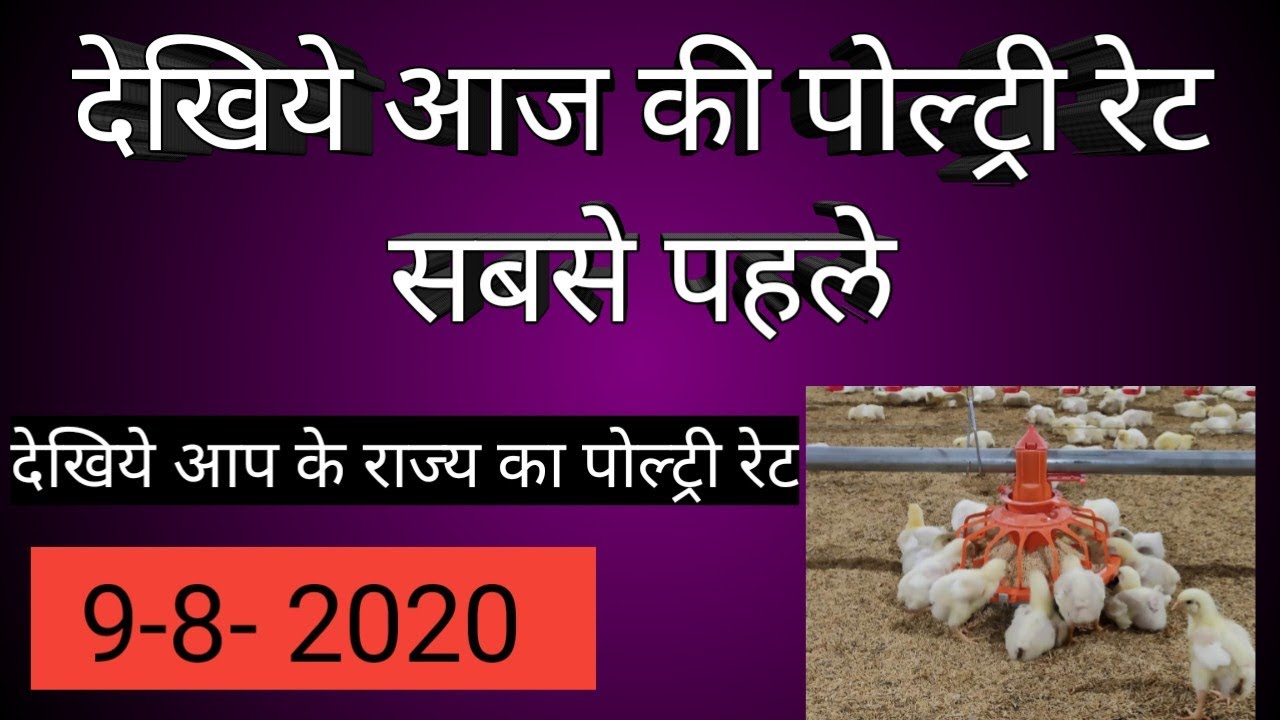 Today's poultry rates / aj ke poultry rates / today's broiler rates ...