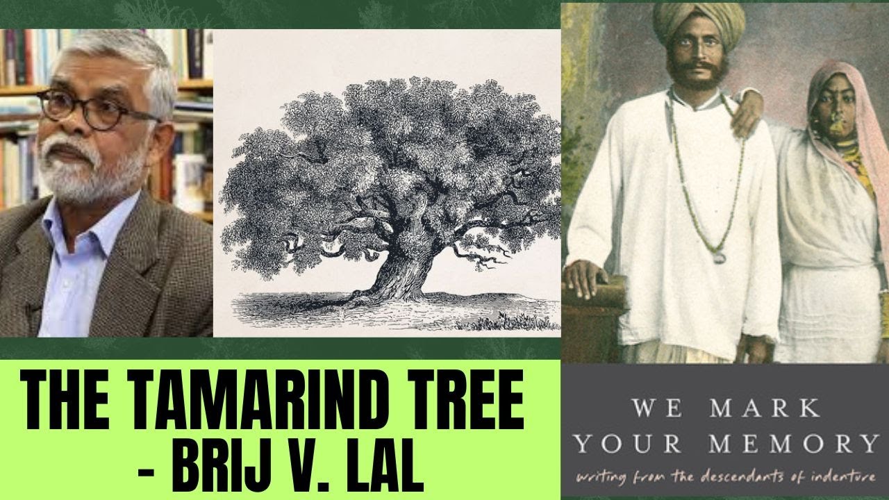 The Tamarind Tree | Short Story | Brij V. Lal | We Mark Your Memory ...