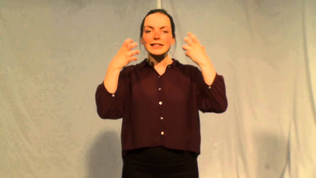 Cat in BSL - YouTube