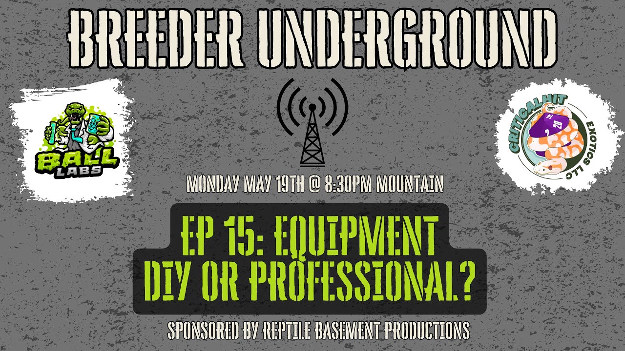 Episode 15: Equipment: DIY Or Professional Ball Python & Rodent Racks ...
