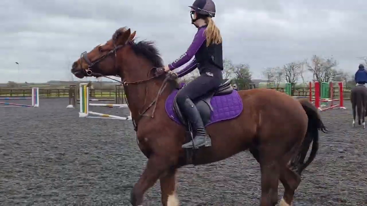 Quests First Showjumping Lesson Of 2022 |horse | Showjumping - YouTube