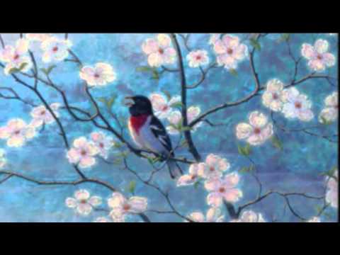 RICHARD CLAYDERMAN - BALLADE POUR ADELINE 1976