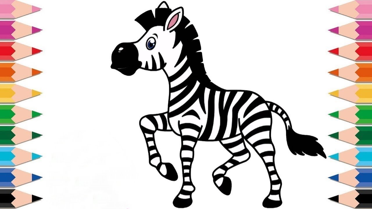 Zebra Drawing, Painting and Coloring for Kids & Toddlers | How to Draw ...