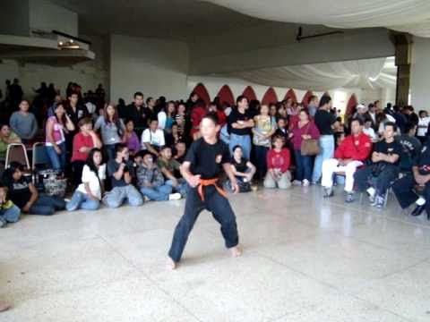 Artes Marciales(LUA) Forma de la Pantera