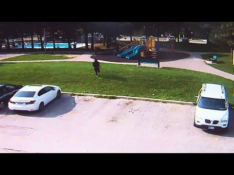 Brazen gun fight near Toronto playground caught on camera - YouTube