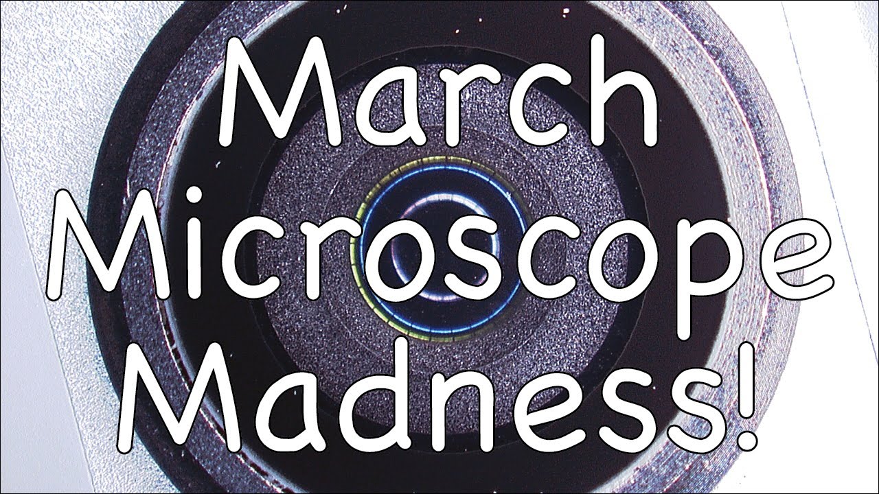 March Microscope Madness Week 5 2015 YouTube march-microscope-madness-week-5-2015-youtube