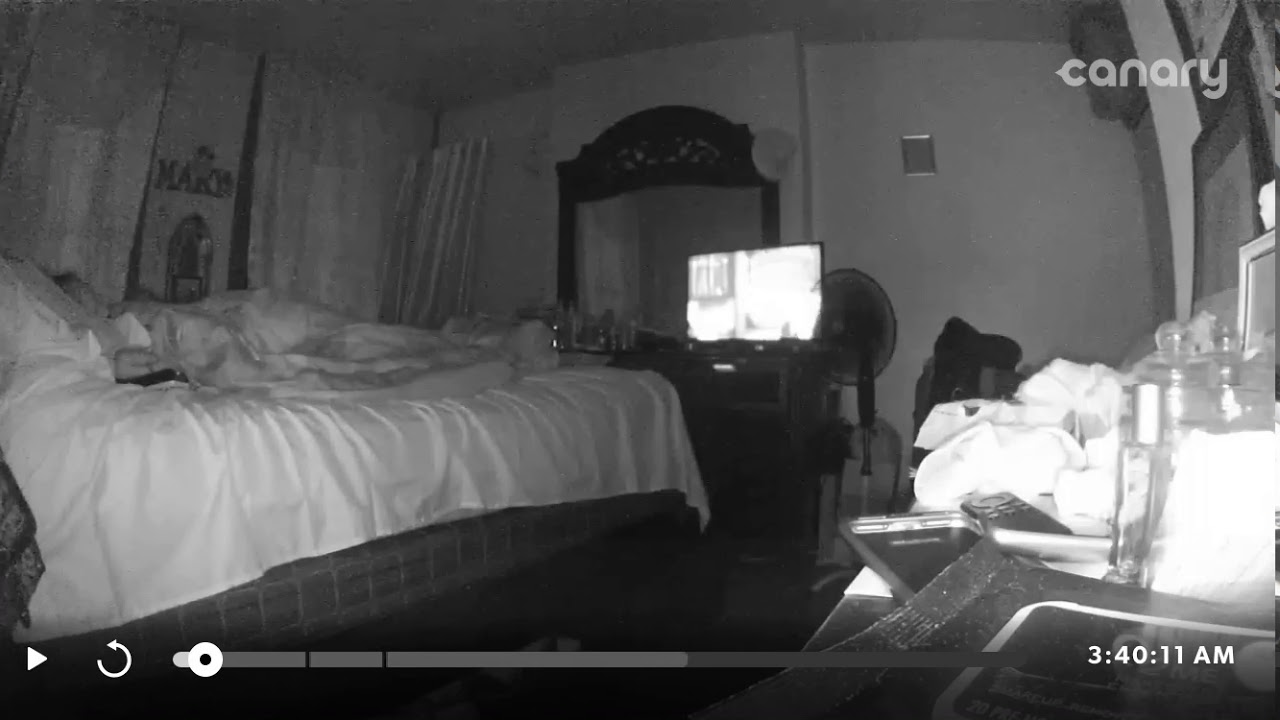 Real life entity caught on canary security camera and it transforms ...