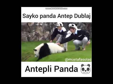 Antep Dublaj Antepli Panda (Abone Olup Like Atmayı Unutma)