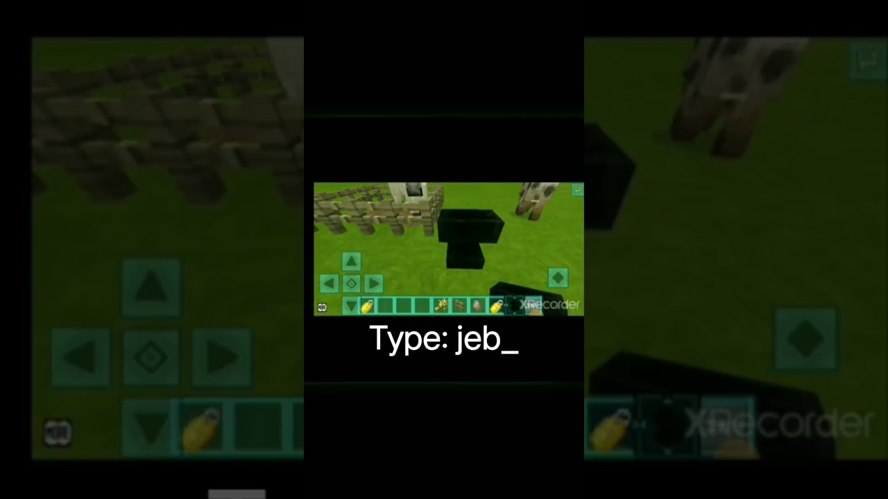 Type: jeb_ in Name tag. - YouTube