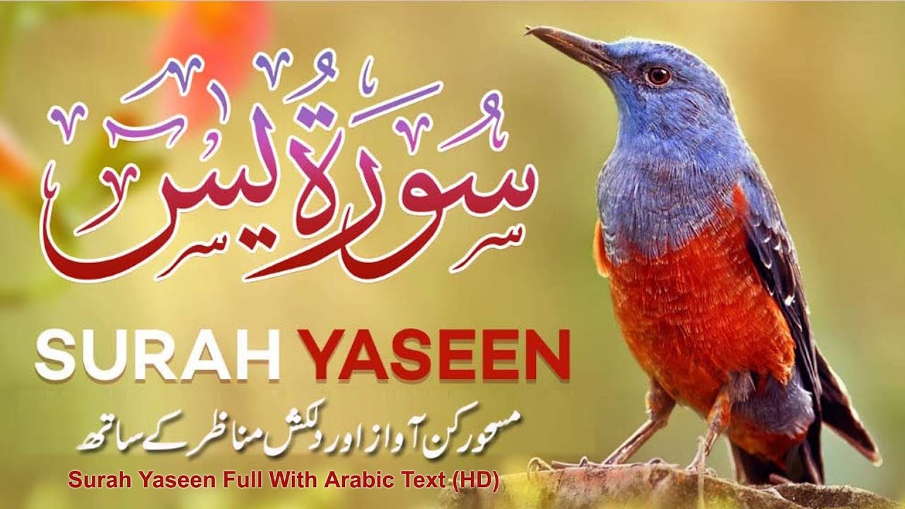 Surah Yaseen Full With Arabic Text (HD) | سورۃ یس36 | Yasin Shareef ...