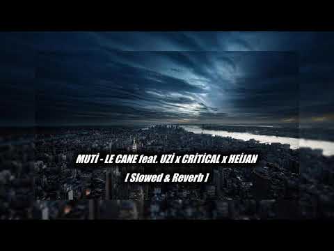 MUTİ - LE CANE feat. UZİ x CRİTİCAL x HEİJAN (slowed&reverb)