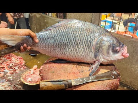 Incredible Giant Black Catla Carp Fish Cutting & Chopping In Bangladesh Local Fish Market