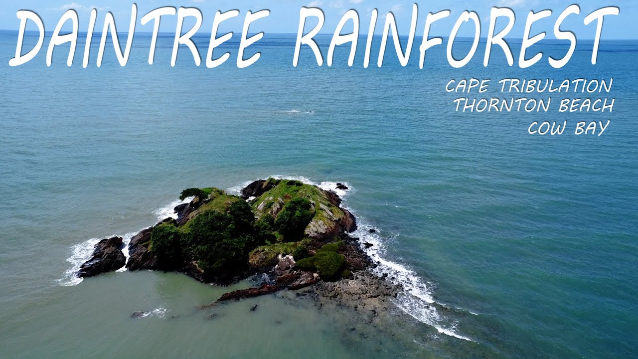 Exploring The Daintree Rainforest Cow Bay Thorton Beach & Cape ...