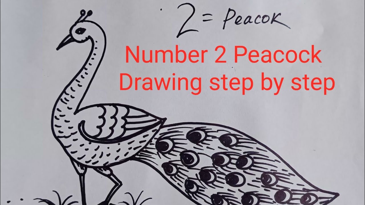 How to draw peacock | Number 2 Peacock drawing step by step - YouTube