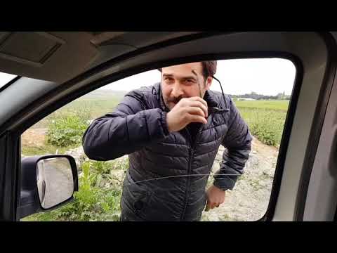 Bırak dedim bıraktık