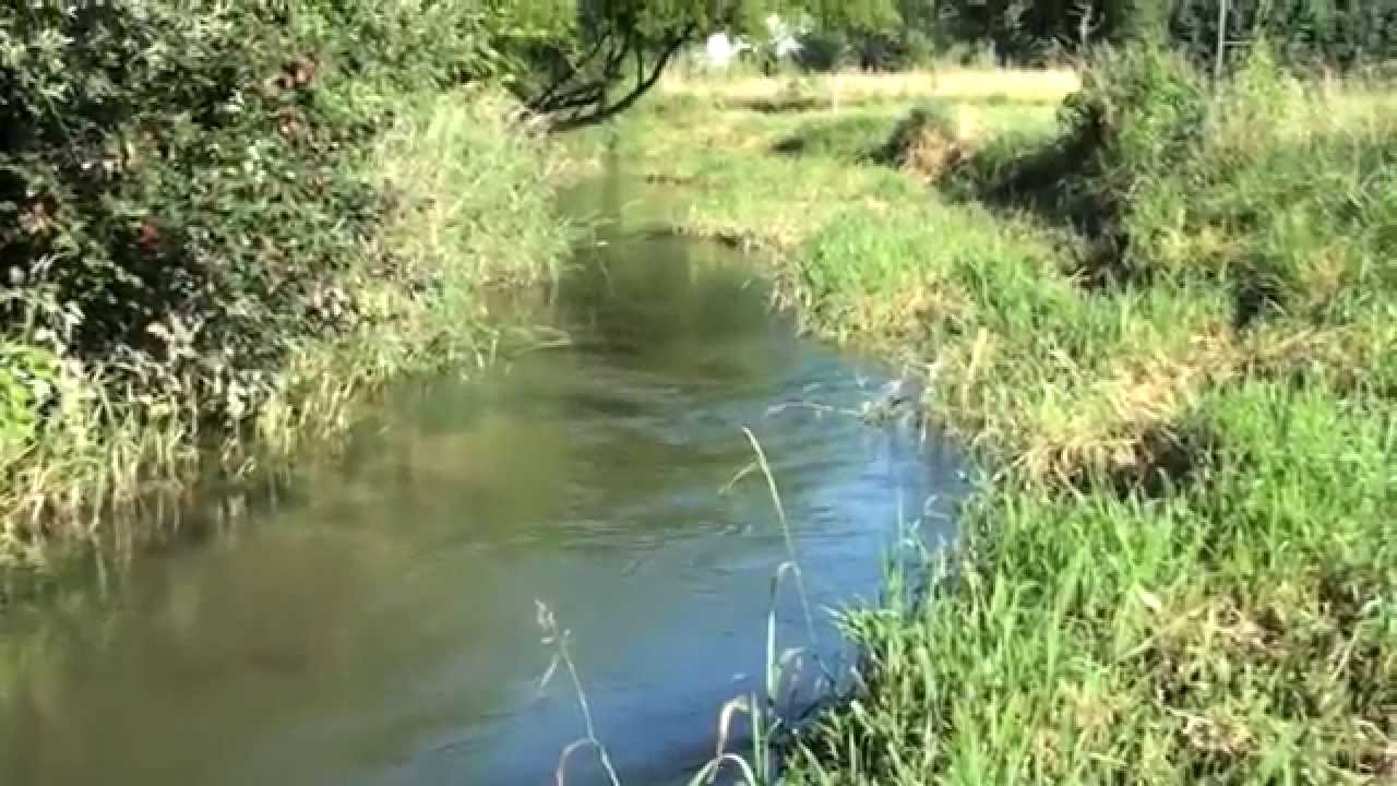 Spring Creek Virginia - YouTube