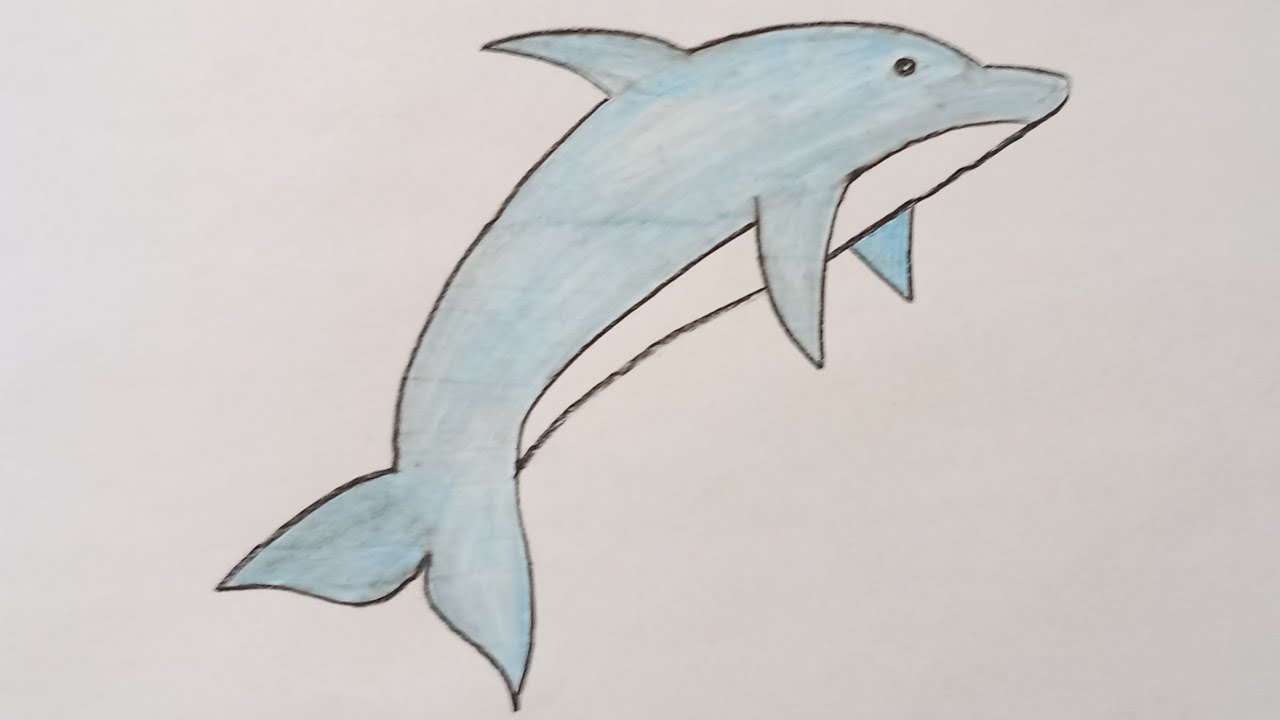 Dolphin drawing easy!! Dolphin drawing easy step by step!! drawing for ...