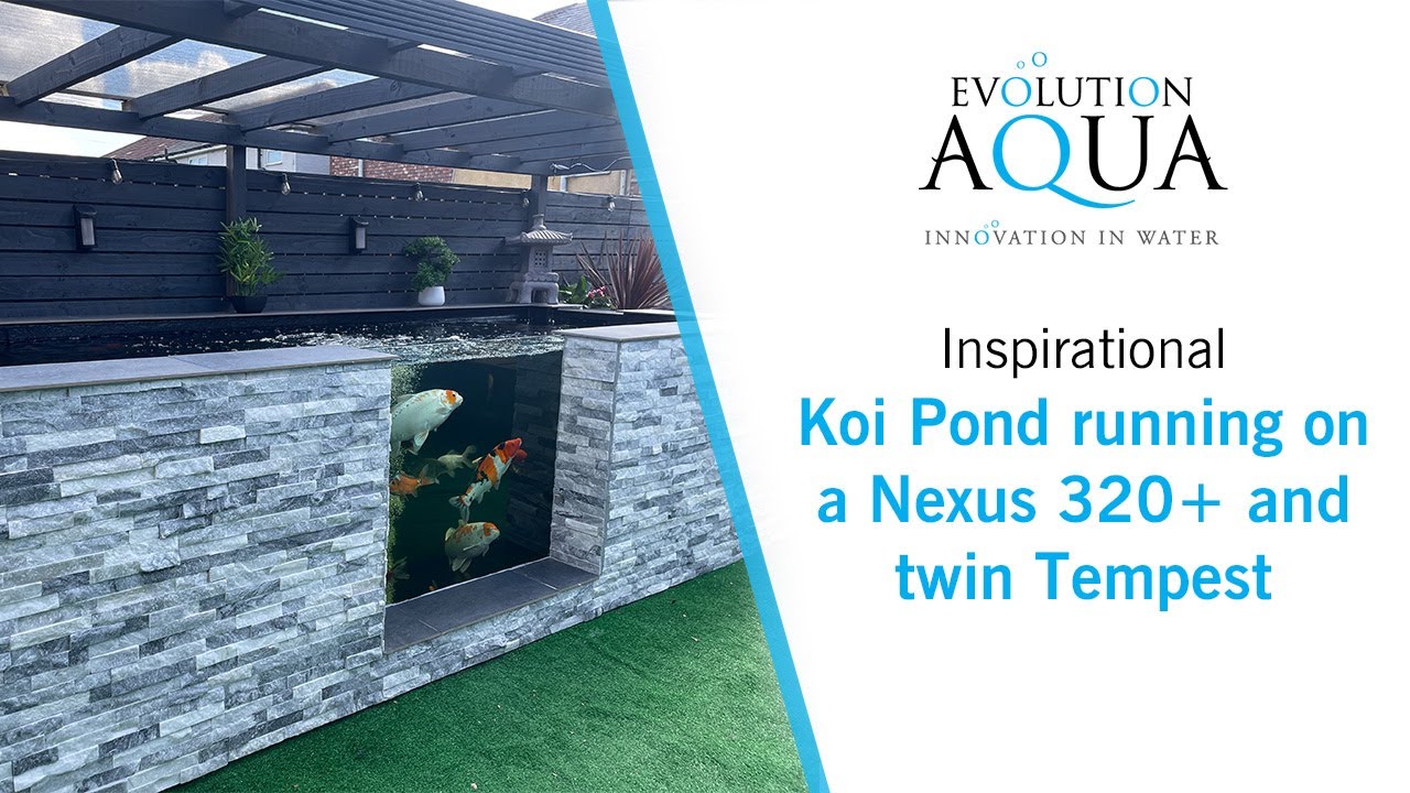 Self Built Koi Pond - Evolution Aqua Nexus and Twin Tempest! - YouTube