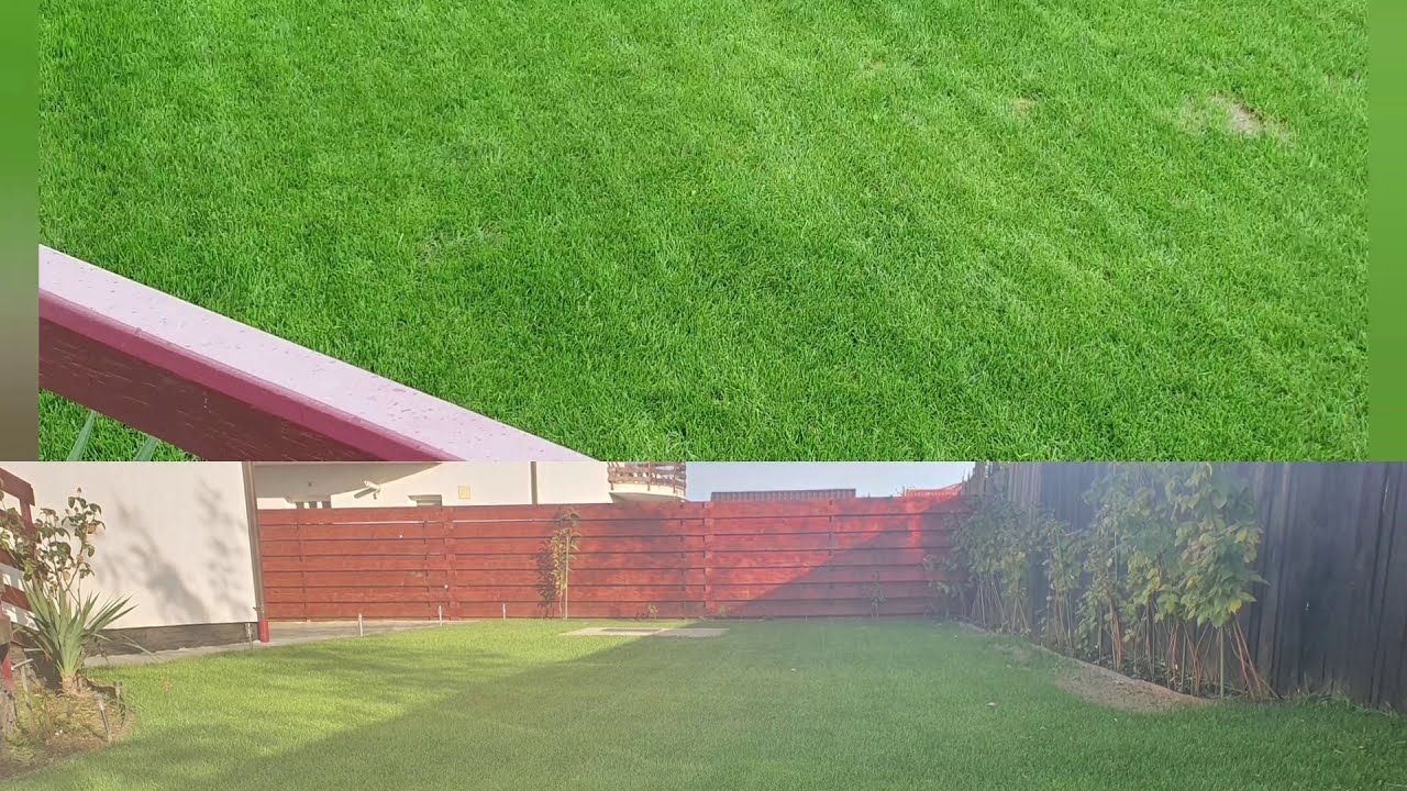 RENOVARE GAZON 2020 - 6 pasi simpli - YouTube