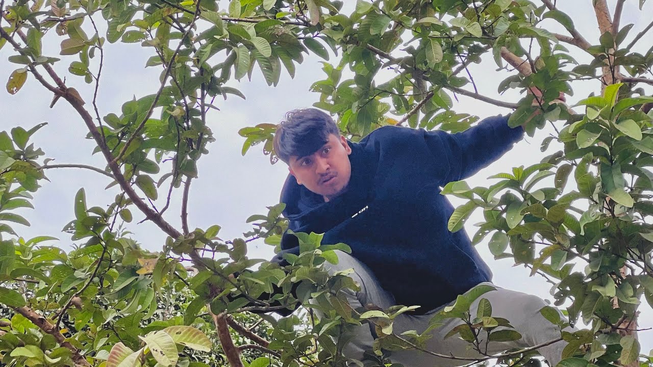 Belauti Chorna Jada Jhandai Ladiyena 🙁 - YouTube