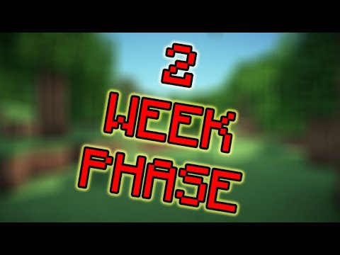 THE 2 WEEK PHASE HAS BEGUN! - YouTube