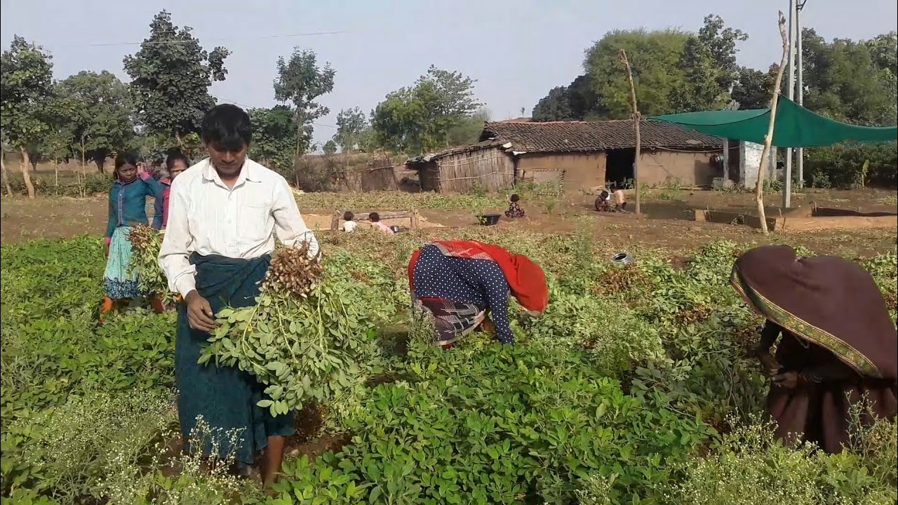 Indian Village Life Style | Farmer Village Life | Rural Life In mp ...
