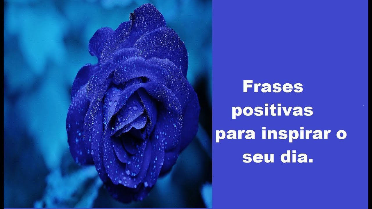 Frases positivas para inspirar o seu dia. - YouTube