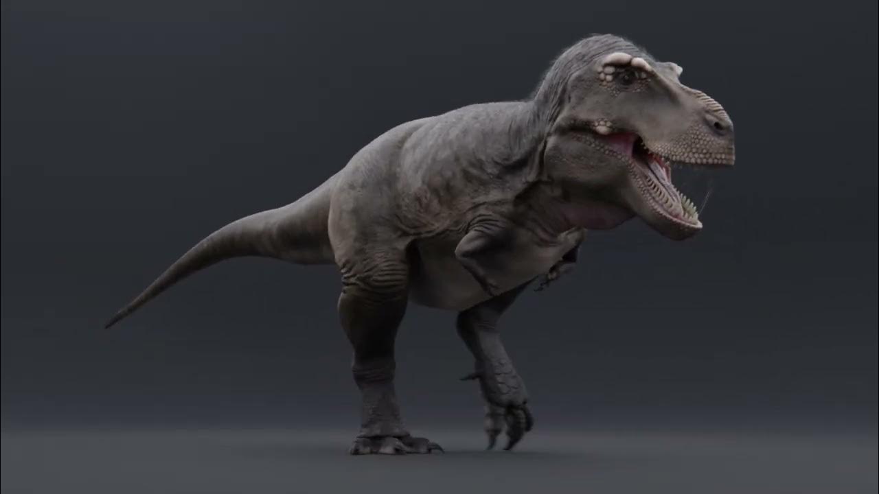 T-Rex Blender Walk Cycle - YouTube