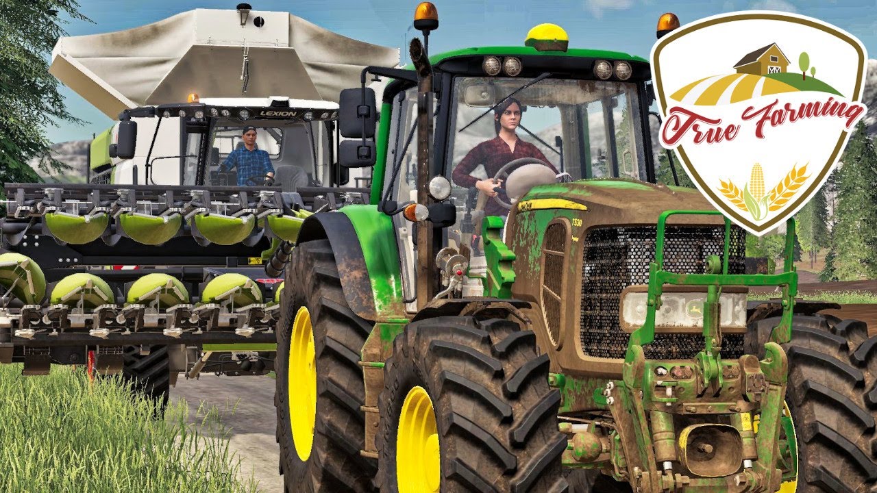 LS19 True Farming #731 - Der DRESCHER für die SONNENBLUMENERNTE steht ...