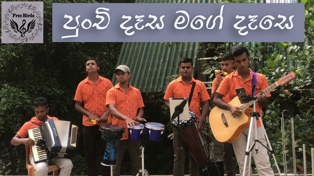 Punchi dasa Mage dase | පුංචි දෑස මගේ දෑසෙ | Free Birds - YouTube