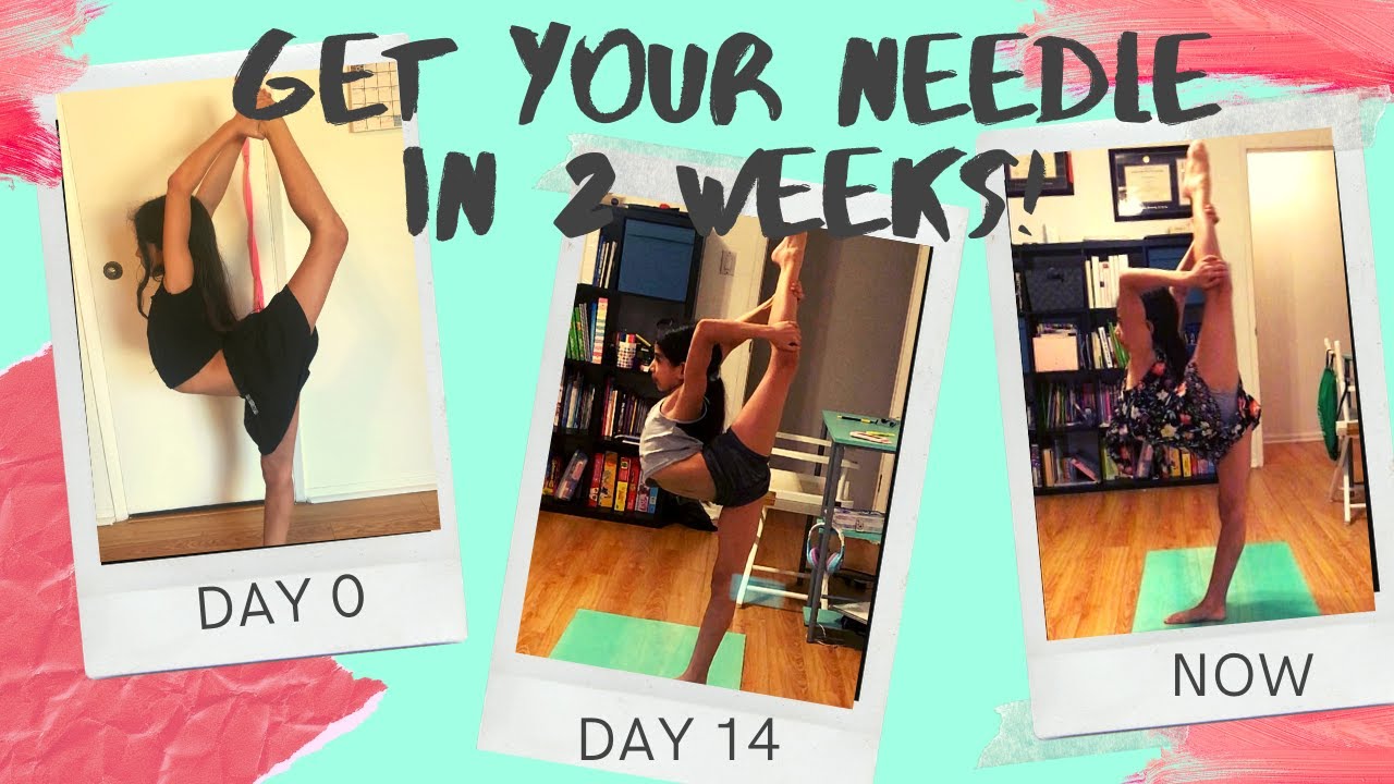 Quick 15 min stretch routine | Get your needle in 2 weeks! | Stretch ...
