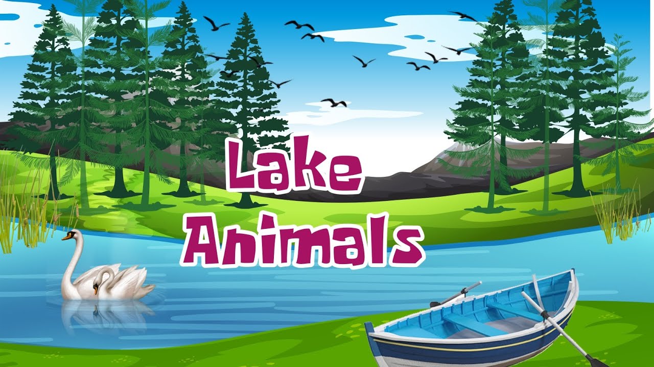 Lake Animal Names | Animal Names And Pictures | English for Kids ...