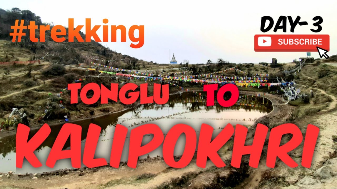 Sandakphu : Declassified//Tonglu To Kalipokhri//Day-3 Full Trekking ...