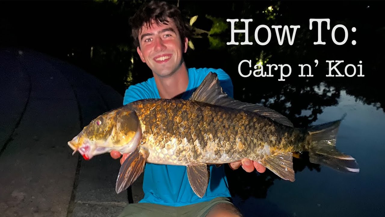 How to Carp Fish For Beginners (Simple Technique and Fun Fishing) - NYC ...