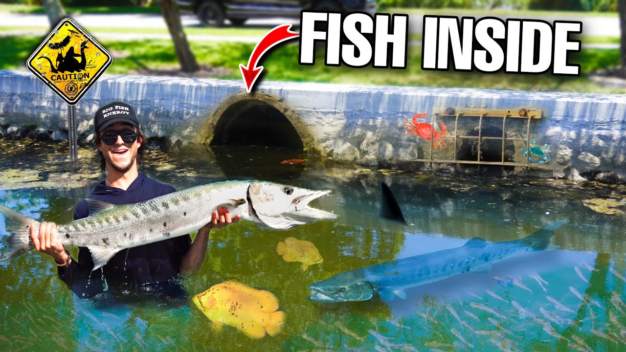 Catching SEA MONSTER In Fish Filled Water For My SALTWATER POND ...