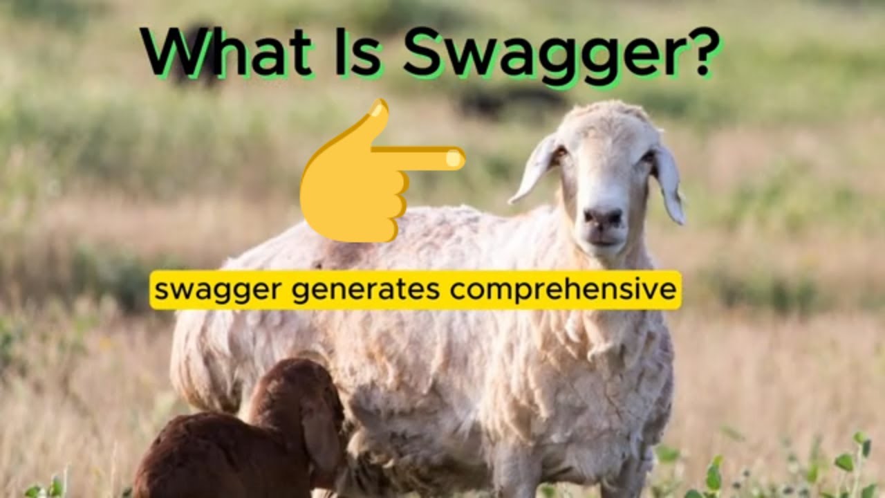 What Is Swagger for APIs? - YouTube