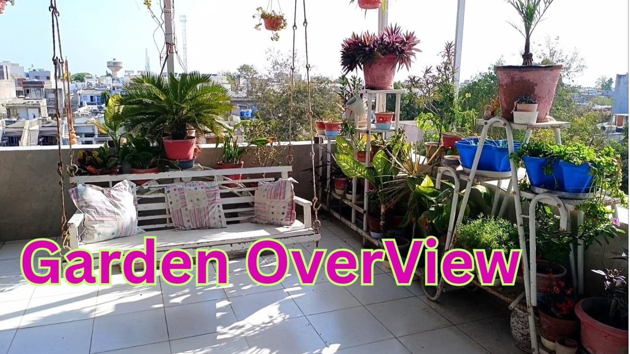 Terrace Garden Overview|| Garden All Over Plant|| Gardening Ideas - YouTube