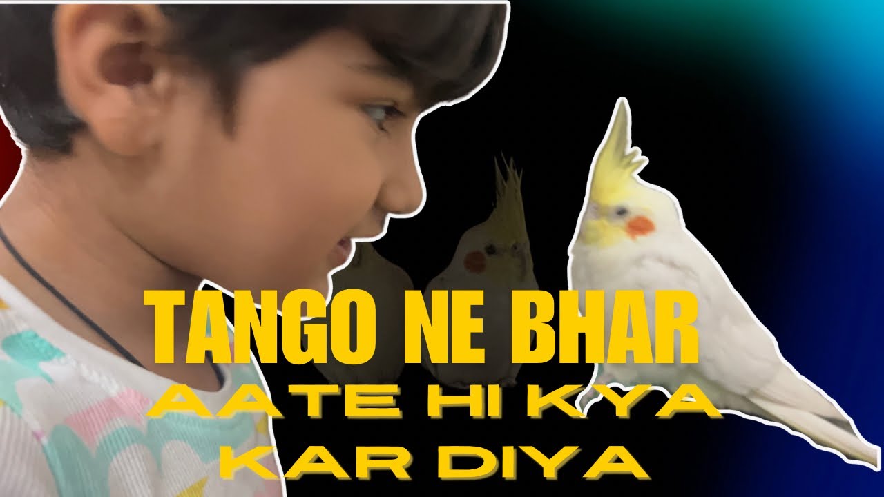 Tango ko cage se nikal diya | bhar aate hi kya kr diya - YouTube