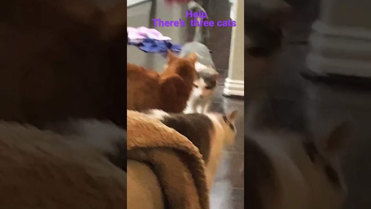 Help me pls - YouTube